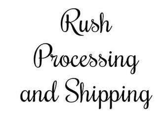 Priority Mail EXPRESS Rush Service For Faster Processing And