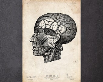 Gothic home decor | Etsy