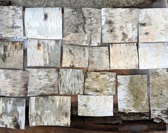 Birch bark | Etsy