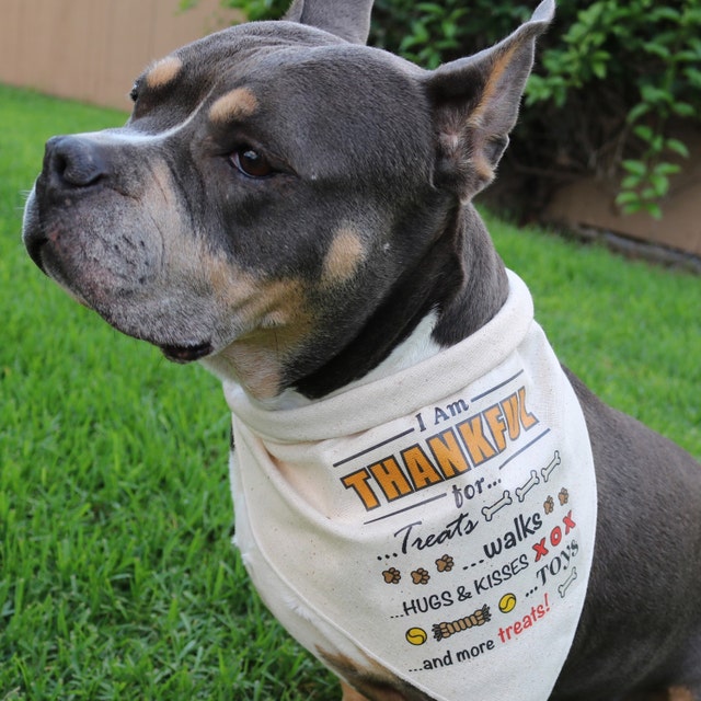 Handcrafted Creations for Dog Lovers by doggydesign on Etsy