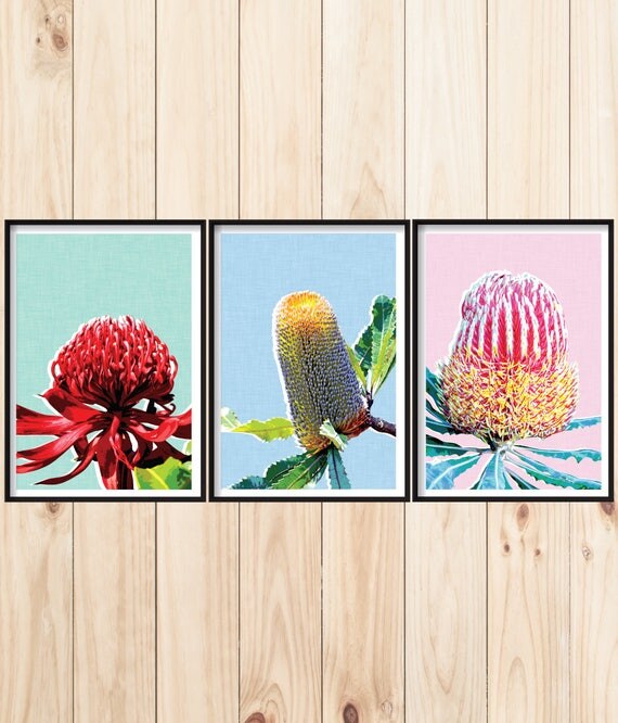 Native Flower Print Set Set of 3 Floral Prints Australian