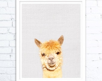 Alpaca | Etsy
