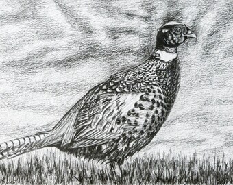 Pheasant drawing | Etsy