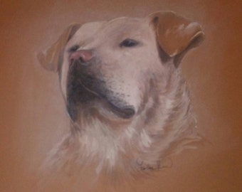 Custom pet drawing | Etsy