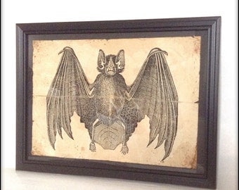 Bat art print | Etsy