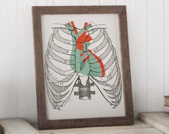 Medical art | Etsy