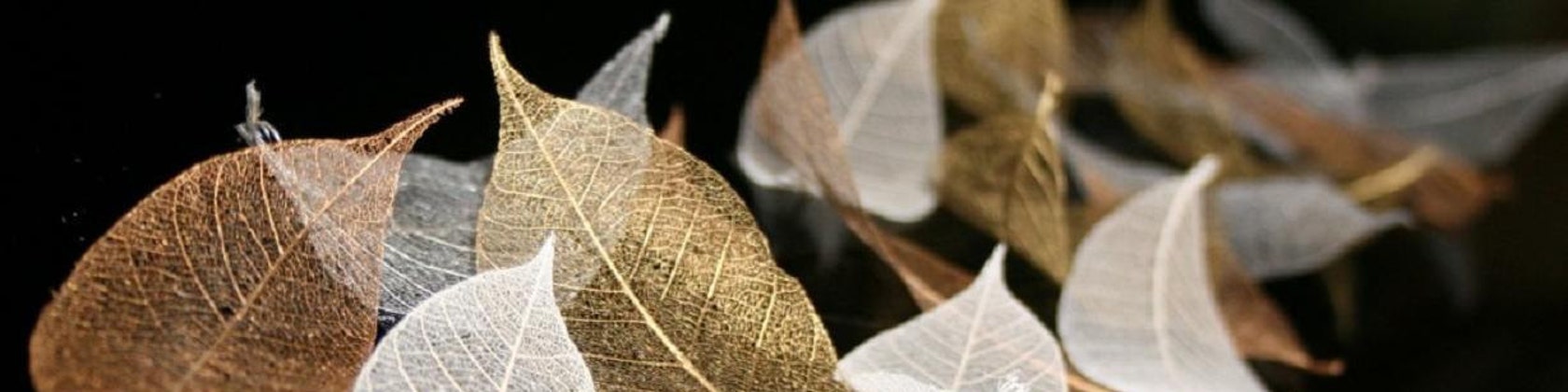 Skeleton Leaf Craft Supplies by SkeletonLeafJTL on Etsy