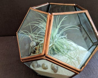 Geometric terrarium | Etsy
