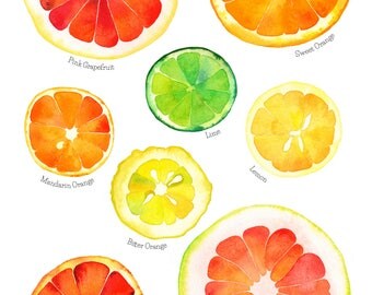 Grapefruit painting | Etsy