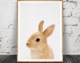 Rabbit print | Etsy