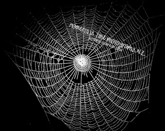 Spiderman web | Etsy