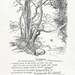 The old grey donkey Eeyore Winnie the Pooh Quotes