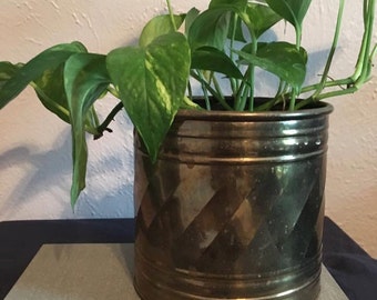 Items similar to pink pig planter pot 6" diameter pot potbelly pig on Etsy