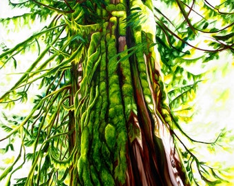 Cedar tree painting | Etsy