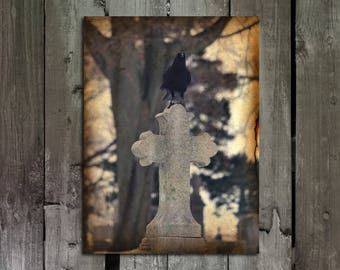 Gothic crow art photographs nature mix ravens urban. by gothicrow