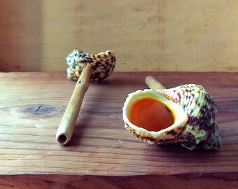 Unique seashell pipe related items | Etsy