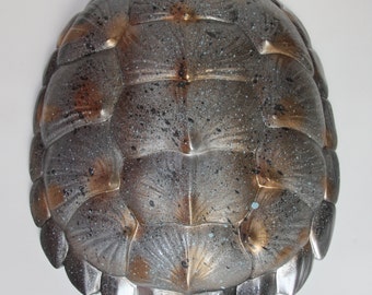 Faux turtle shell | Etsy