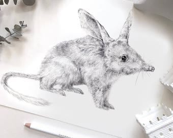 Bilby | Etsy