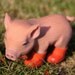 Piglet In Red Boots