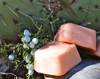 Items similar to prickly pear on Etsy