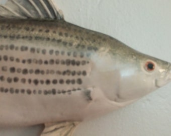 Ceramic Fish by LakeCeramics on Etsy