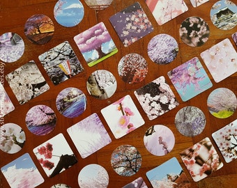 Sakura stickers | Etsy