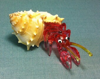 Hermit crab shells | Etsy