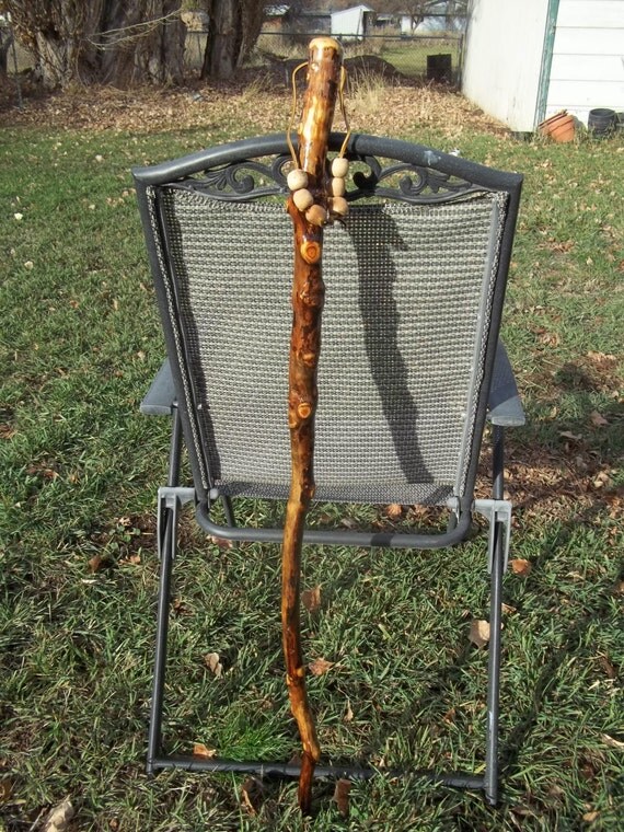 birch burlwood walking stick 61