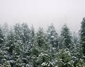 Winter landscape | Etsy