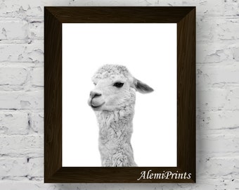 Unique alpaca art related items | Etsy