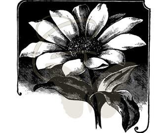 Daisy stencil | Etsy