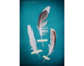 Feather study | Etsy