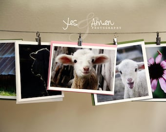 Yes and Amen fine photography & farm-fresh cards by YesandAmen