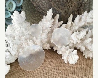 Capiz shell jewelry | Etsy