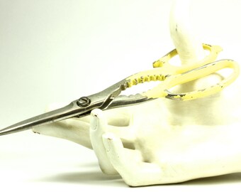 Vintage scissors | Etsy