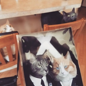 Daryl Dixon cat 8.5x11 Print