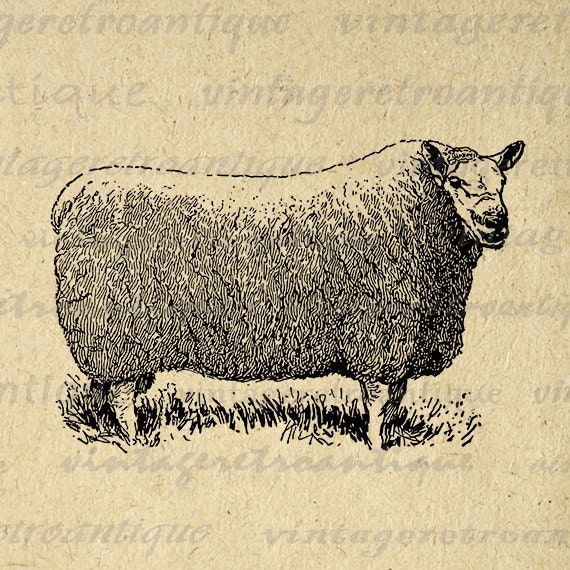 Printable Graphic Ram Sheep Image by VintageRetroAntique on Etsy
