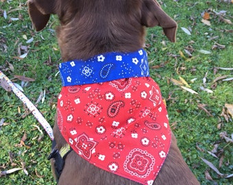 Pet Shoes & Booties – Etsy