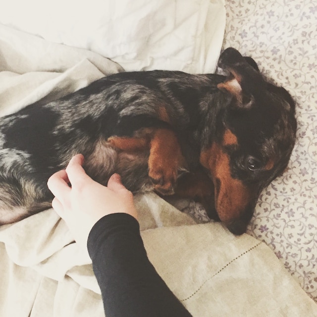 Nature inspired jewelry by Oore on Etsy