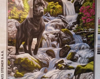 Black lab art | Etsy