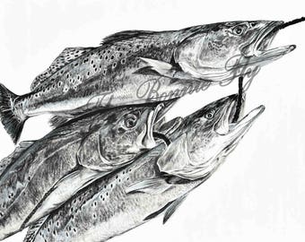 Speckled trout print | Etsy