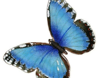 Items similar to Life Cycle of a (Blue Morpho) Butterfly Clip Art Set ...