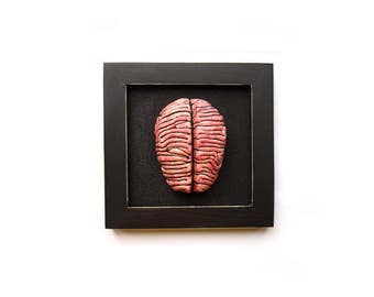 Human brain | Etsy