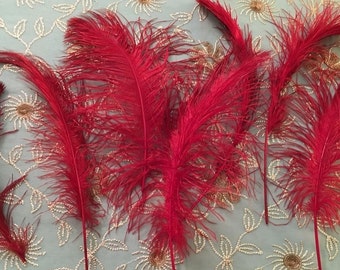 Red ostrich feathers | Etsy