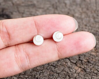 Sterling Silver Shell Post Earrings With Loop 1 Pair of Stud