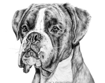 Custom pet drawing | Etsy