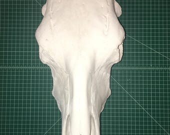 Plaster skull | Etsy