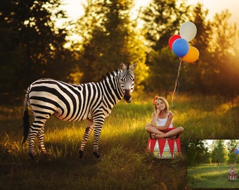 Animal overlays | Etsy