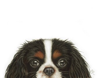 PRINT Tri color Cavalier King Charles Spaniel dog pet portrait