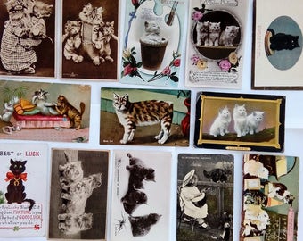 Vintage cat postcard | Etsy